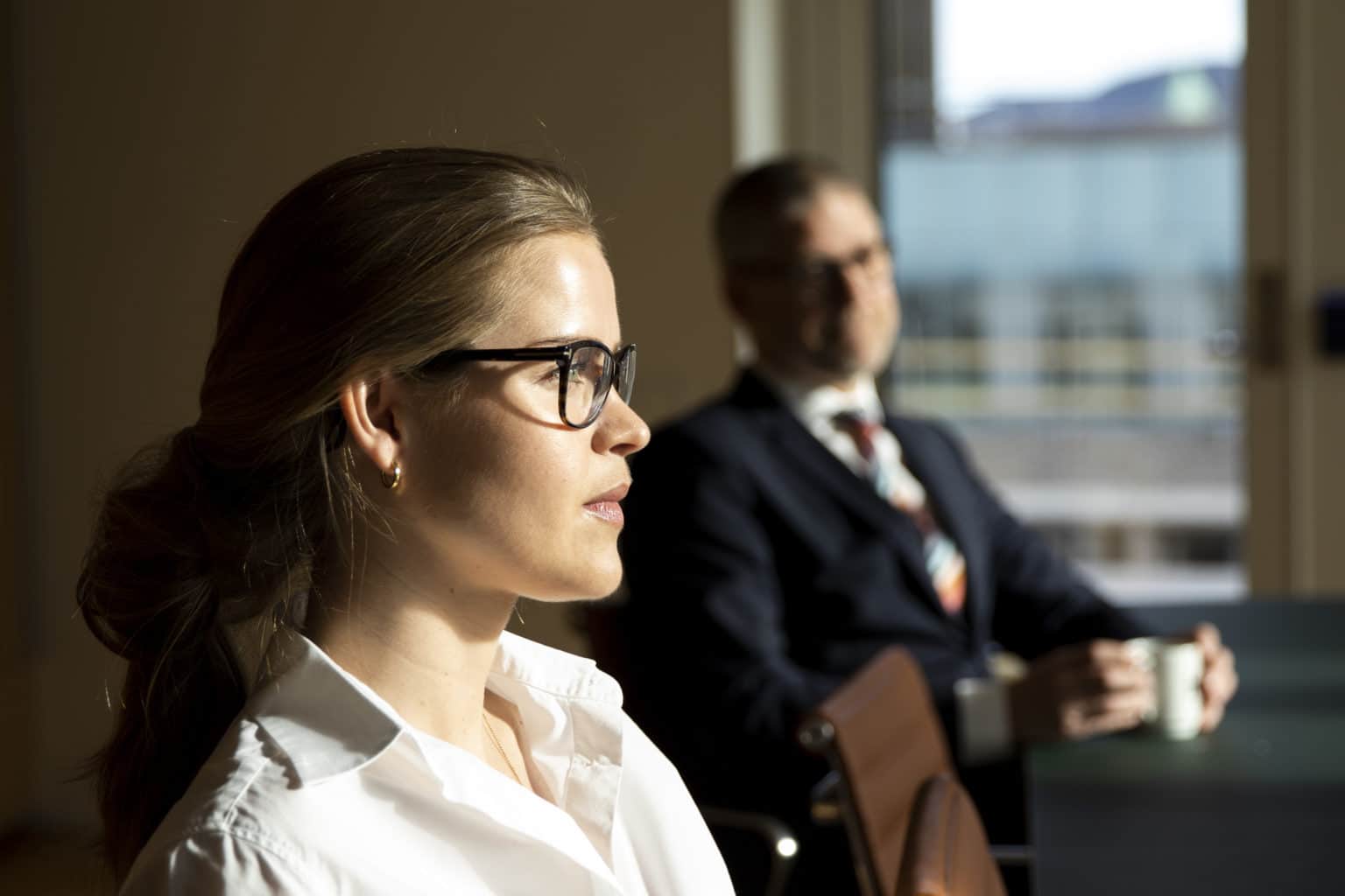 Gender balance in Norwegian boards - Hjort